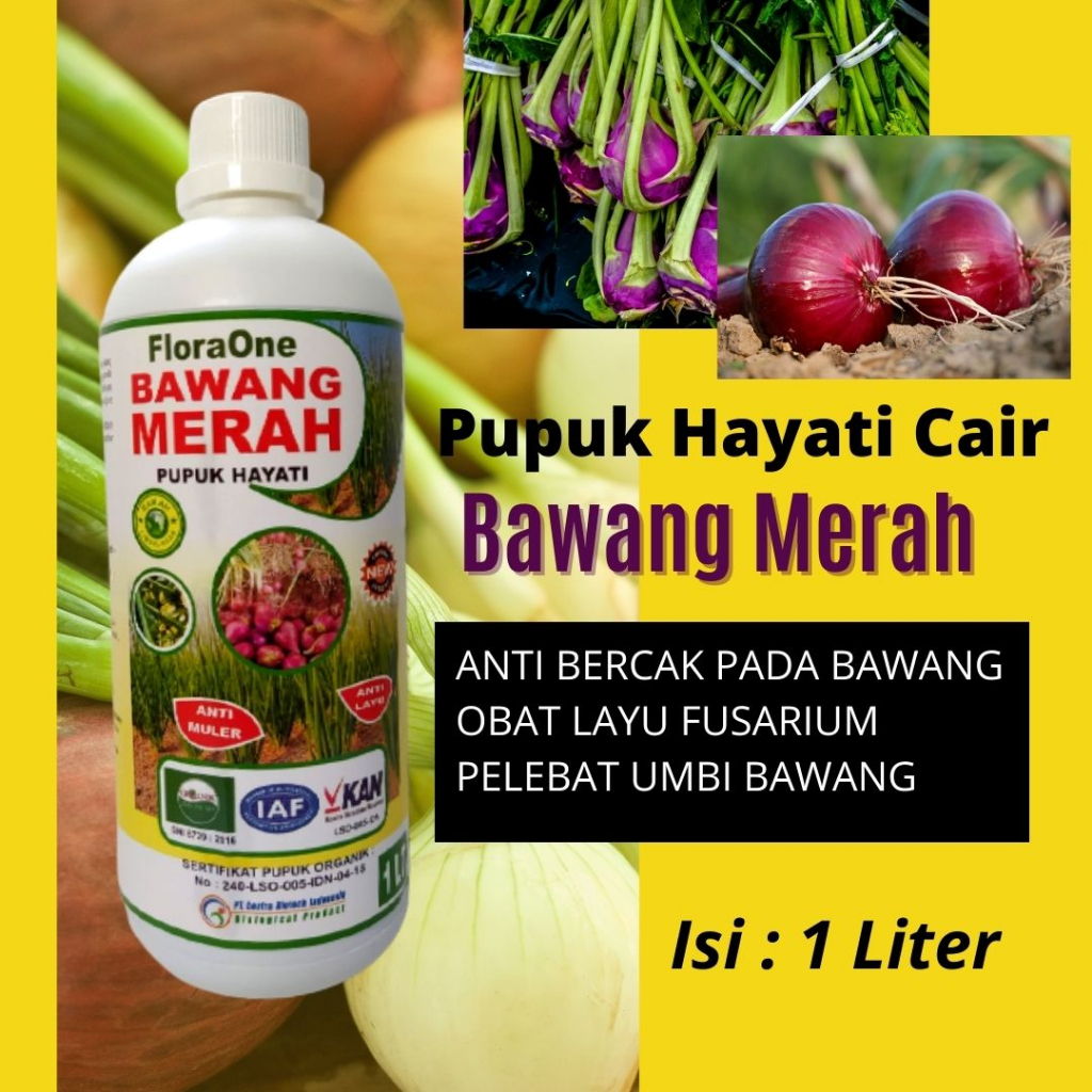 Jual Pupuk Penyubur Bawang Daun, Obat Semprot Bawang Merah Musim Hujan | Shopee Indonesia