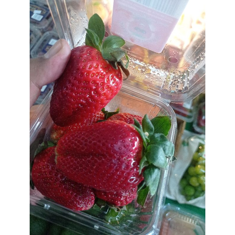 Jual Strawberry Australia jumbo / pack | Shopee Indonesia