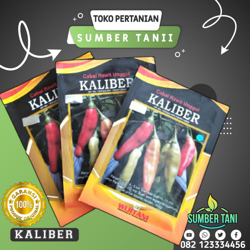 Jual Benih Cabai Rawit Kaliber 10 gr Original Wijitani | Shopee Indonesia