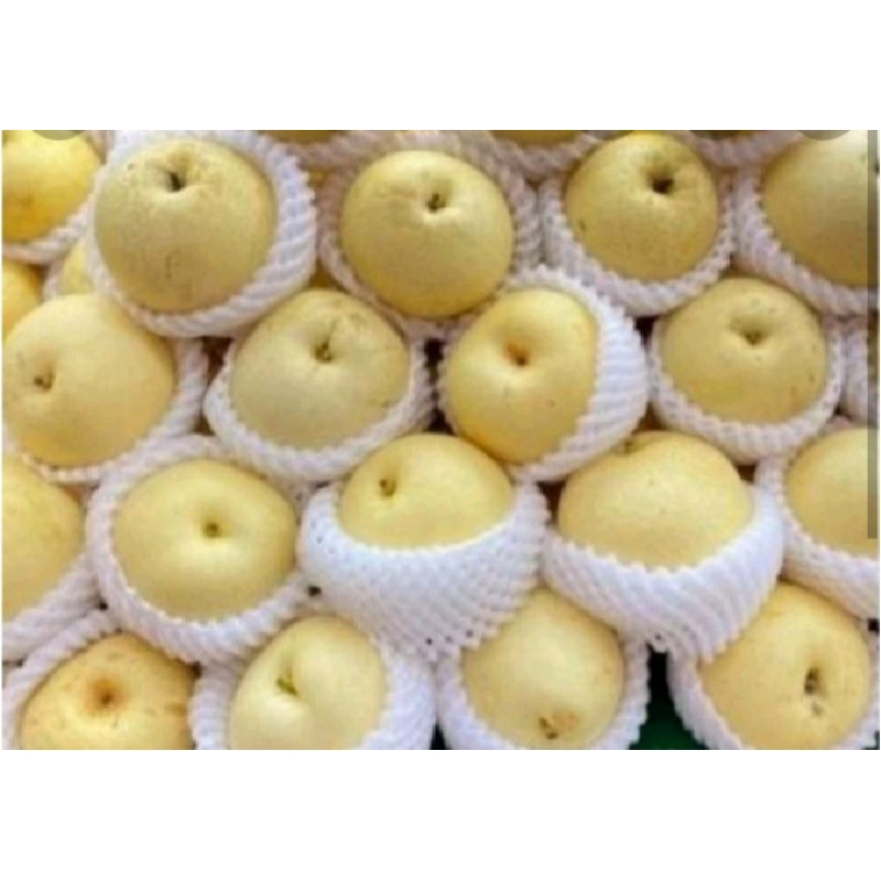 Jual Buah Pear Buah Pir Century Buah Segar | Shopee Indonesia