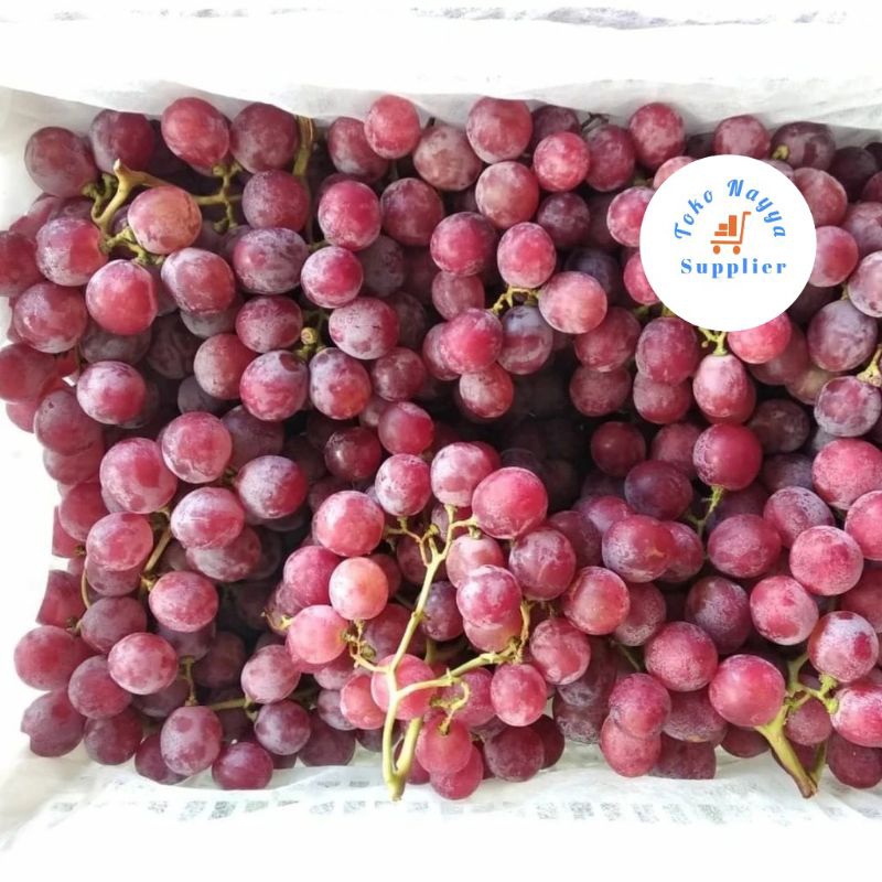 Jual Anggur Red Globe Merah China | Shopee Indonesia