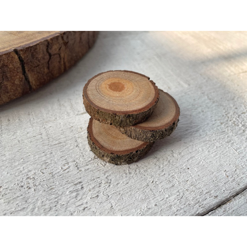 Jual LILOMILO Wood Slice 3-4cm/Potongan Kayu Mini for Sensory Play/Kayu ...