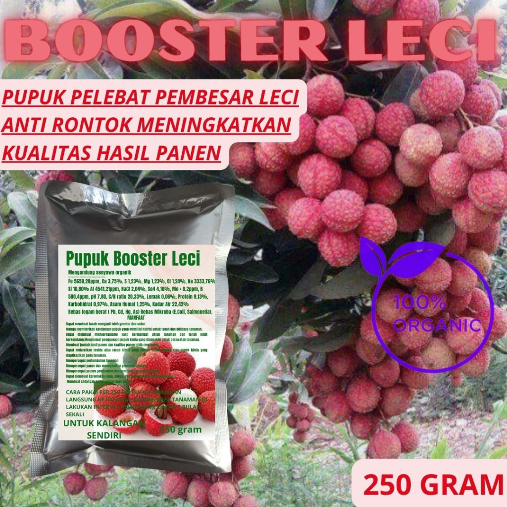Jual Pupuk organik booster perangsang dan pelebat buah leci agar cepat berbuah tidak mudah ...