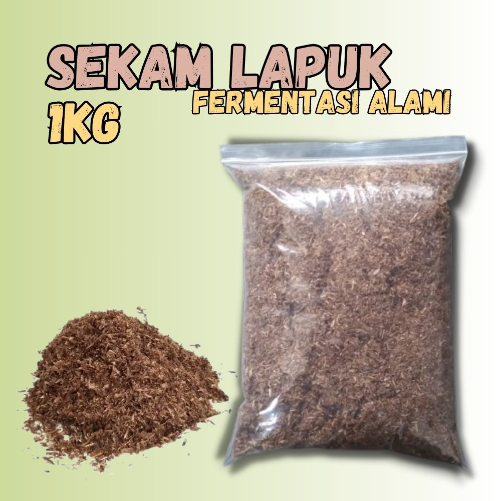 Jual Sekam Fermentasi/Sekam Lapuk | Shopee Indonesia