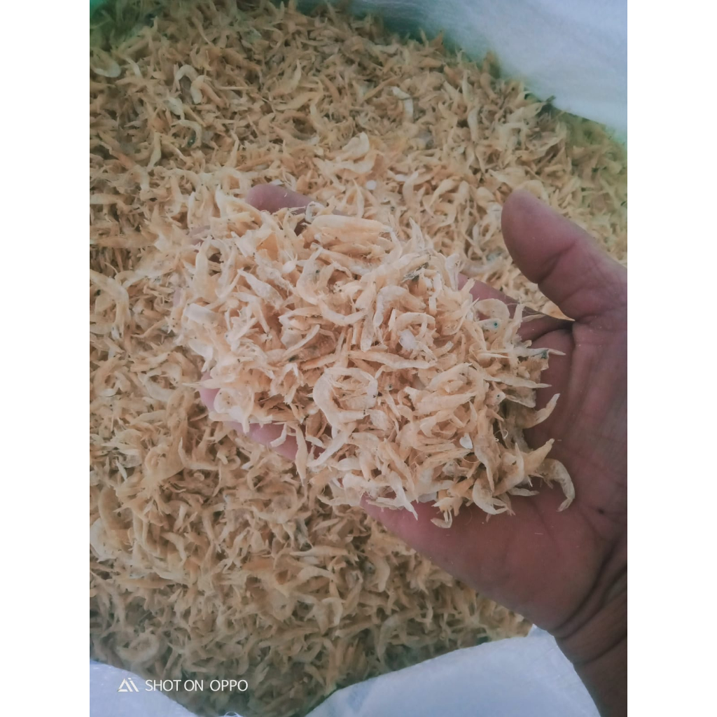 Jual Udang Rebon/Gragu Kasar 100gr-1kg Kering Dan Tawar | Shopee Indonesia