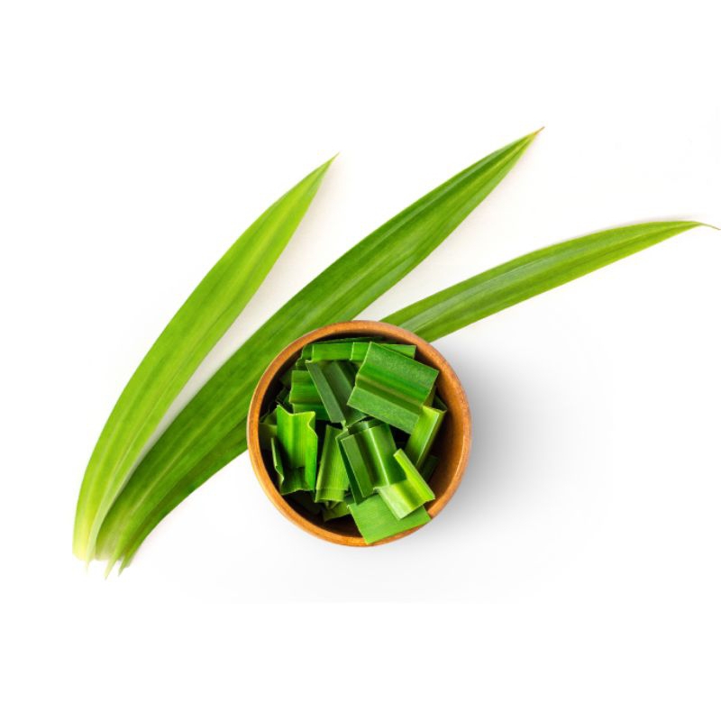 Jual DAUN PANDAN 5 LEMBAR | Shopee Indonesia