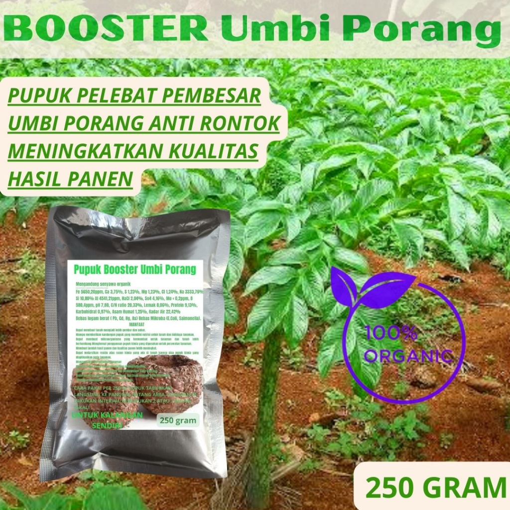 Jual Pupuk organik booster perangsang dan pelebat buah umbi porang agar cepat berbuah tidak ...