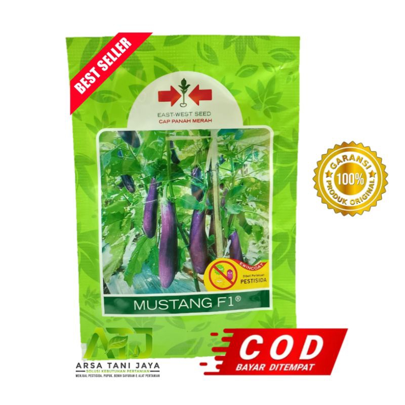 Jual Benih Terong Ungu Mustang F1 1100Butir - Cap Panah Merah | Shopee Indonesia
