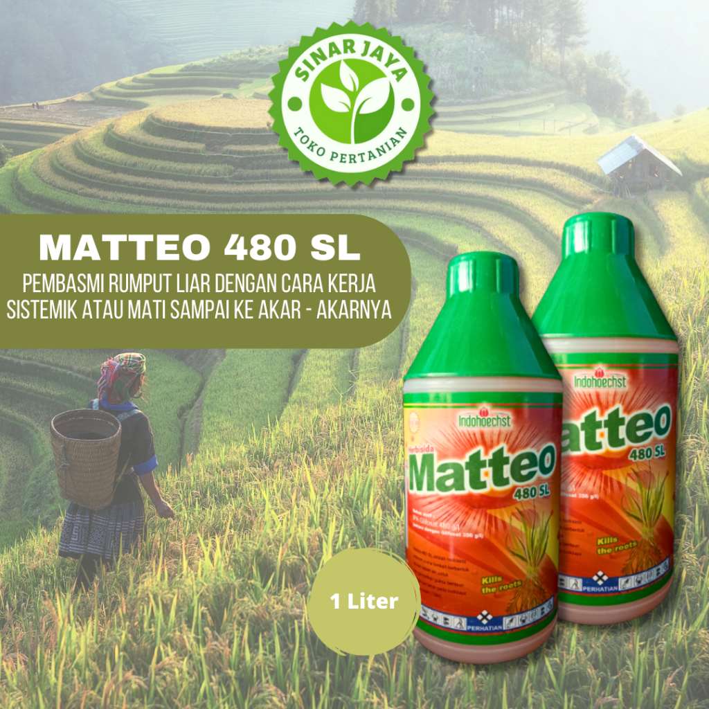Jual Matteo 480 SL 100% ORIGINAL Herbisida Pembasmi Rumput Liar - 1 ...