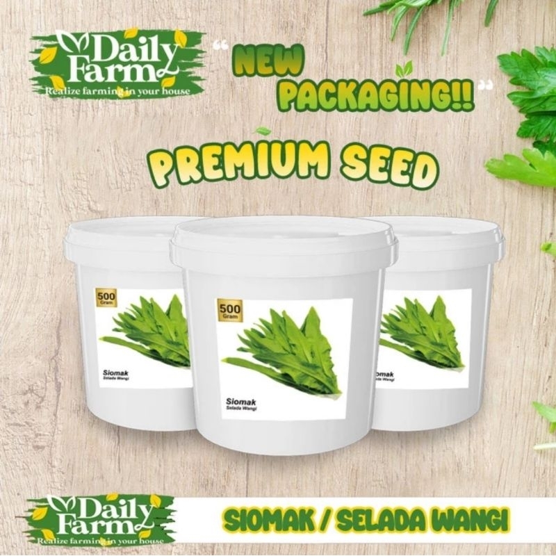 Jual Benih Sayur Selada Siomak - Selada Wangi Siomak Hijau ( 500 Grm ...