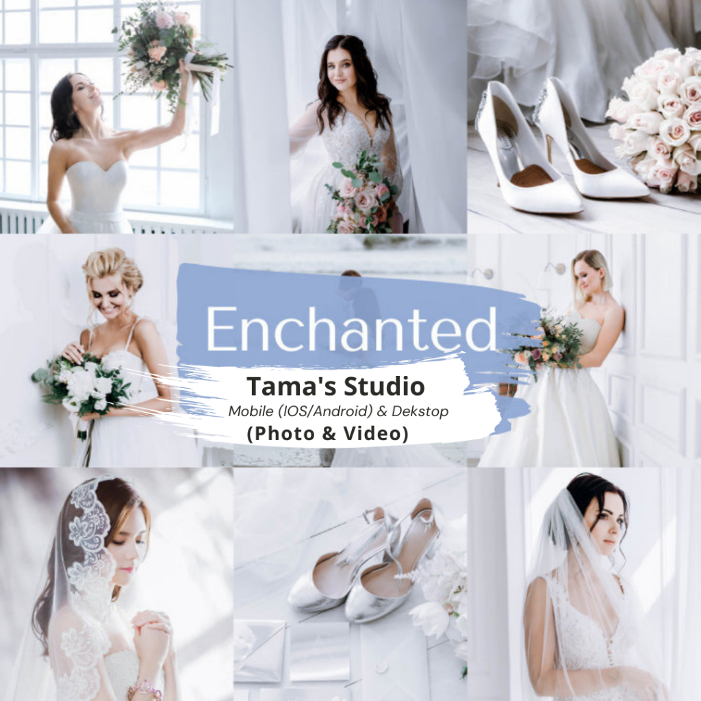Jual 16 Enchanted Preset Lightroom & Luts Video Filter Mobile (IOS ...
