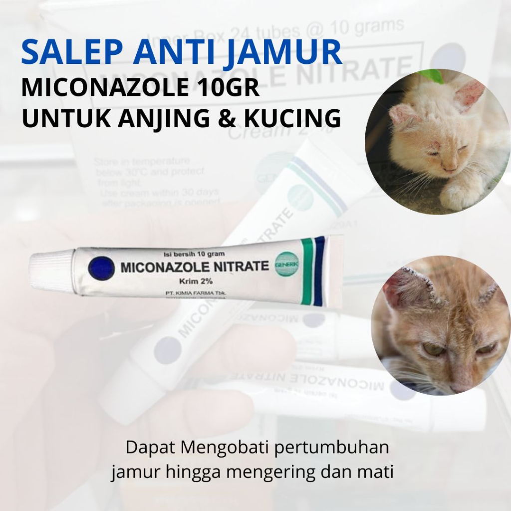 Jual SALEP MICONAZOLE Anti Jamur Pada Kucing Dan Anjing 10gr | Shopee ...