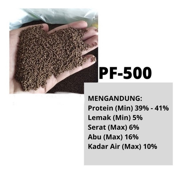 Jual Pelet benih ikan makanan burayak ikan lele ikan nila PF 500 10 kg ...