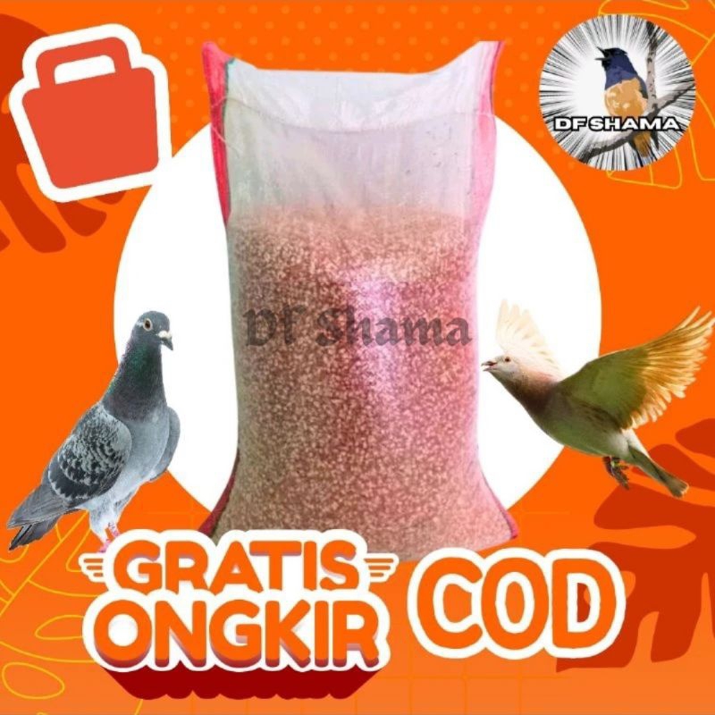 Jual Jagung Kristal 1 Karung Isi 25 Kg Grade A Jagung Merpati Pakan ...