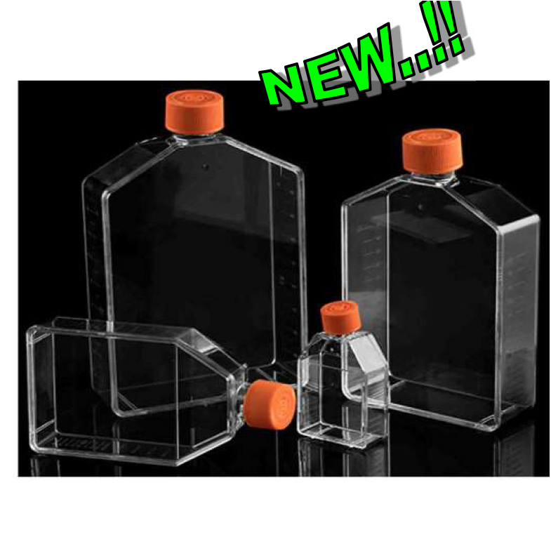 Jual CEL CULTURE FLASK 25cm2 cell growth are Cap vent 12pcs/pack FCOMBO ...