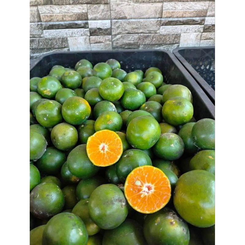 Jual jeruk peras fresh/jeruk es 1Kg (REGULER & KARGO) | Shopee Indonesia