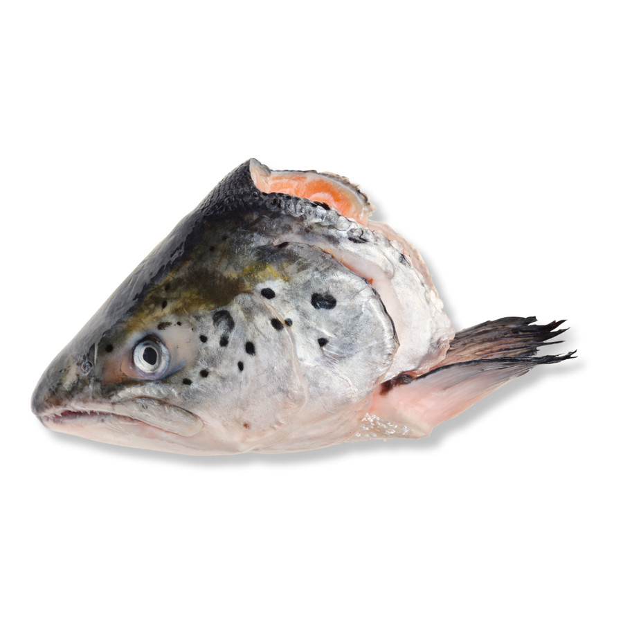Jual Kepala ikan Salmon / Salmon Fish Head 250gr | Shopee Indonesia
