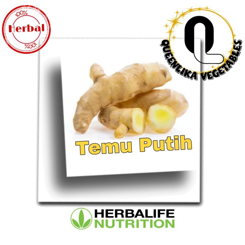 Jual temu putih temu mangga segar 1kg murah | Shopee Indonesia