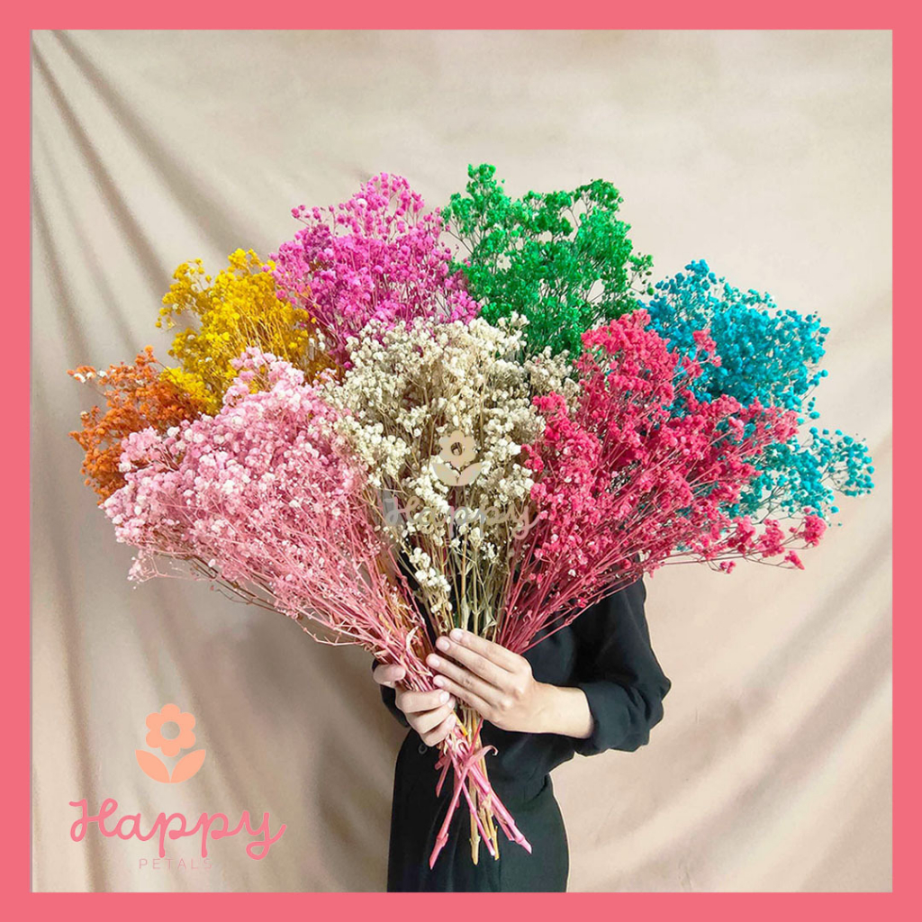 Jual Preserved Real Touch Premium Baby's Breath Gypsophila Bunga Kering ...