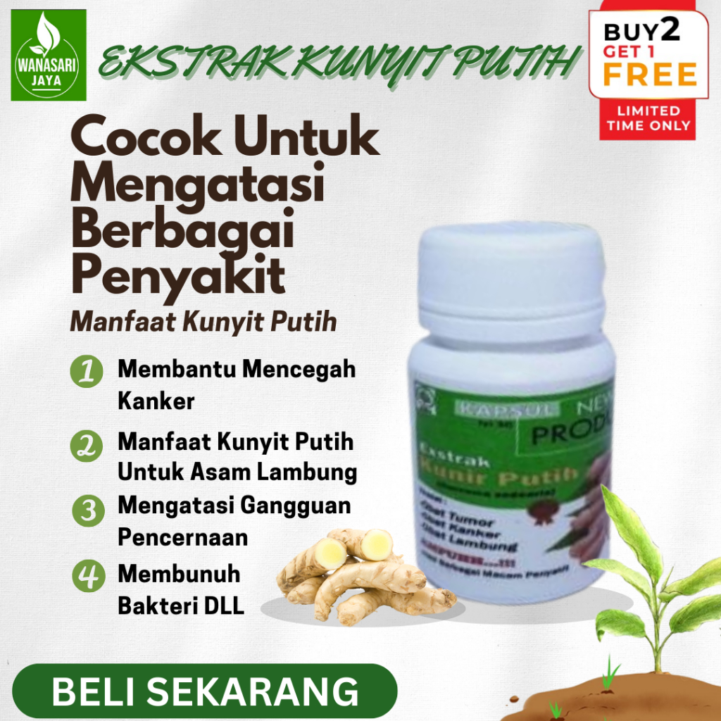 Jual KUNIR PUTIH PREMIUM KUNYIT PUTIH BUBUK MURAH KUNIR PUTIH SERBUK ...