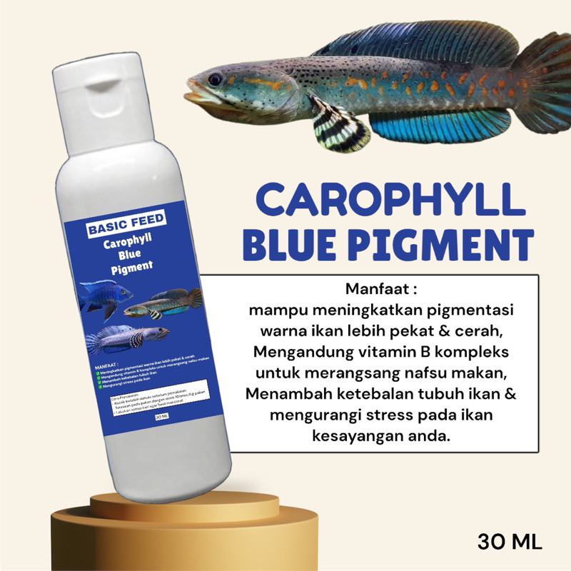 Jual carophyll blue pigment 30ml progres mutasi warna ikan channa blue ...