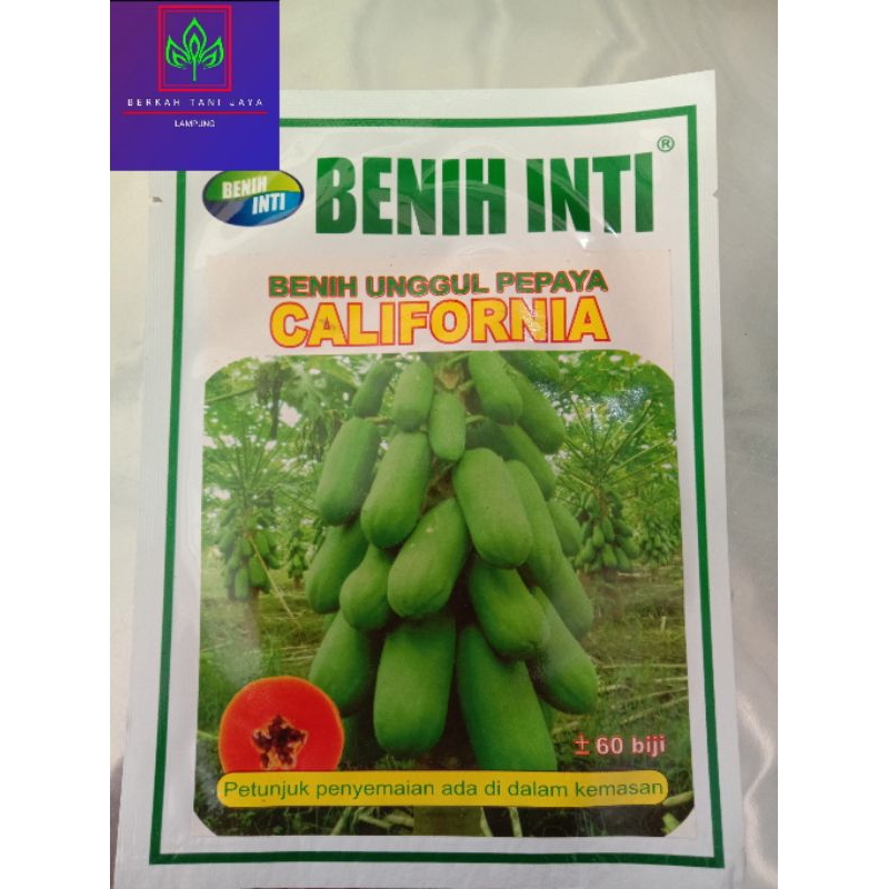Jual Benih Pepaya California Cap Benih Inti | Shopee Indonesia