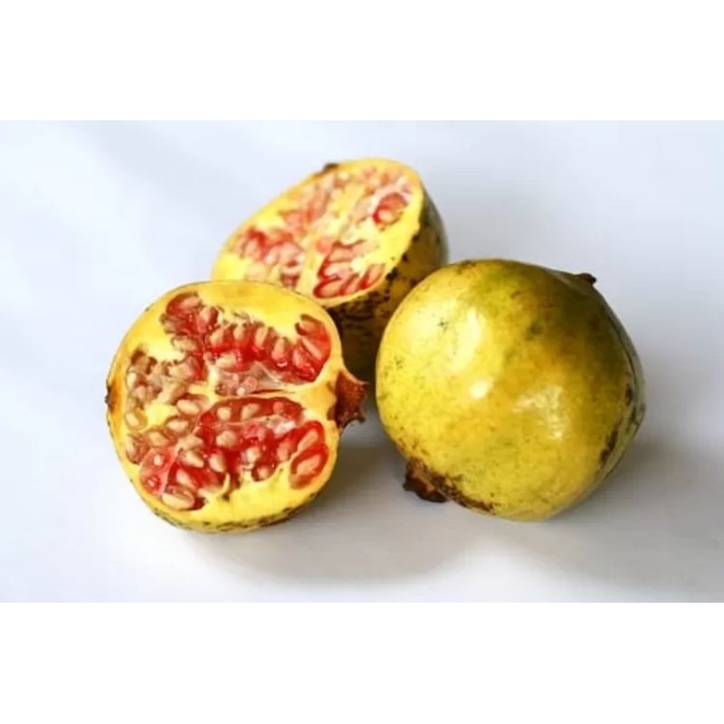 Jual buah delima india segar | Shopee Indonesia Jual buah delima india segar | Shopee Indonesia