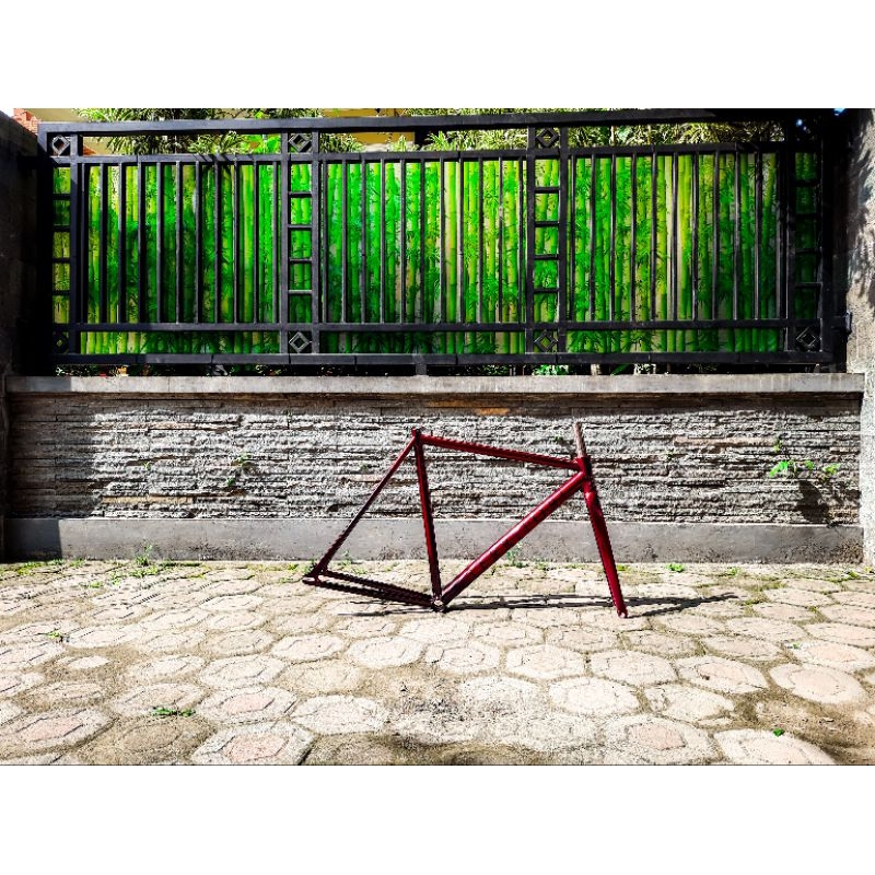 Jual frame fixie GRATIS FORK sesuai pesanan, warna, geometri decal dll ...