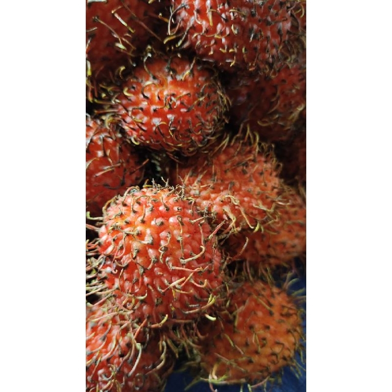 Jual Rambutan/1Kg | Shopee Indonesia