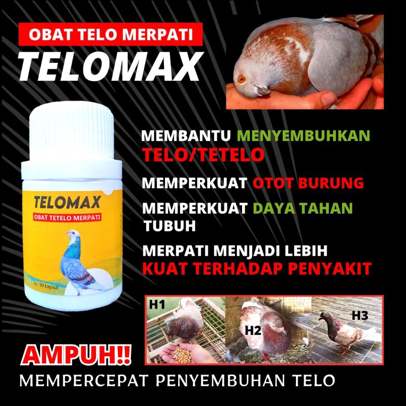 Jual OBAT TELO/TETELO (TELOMAX | Shopee Indonesia
