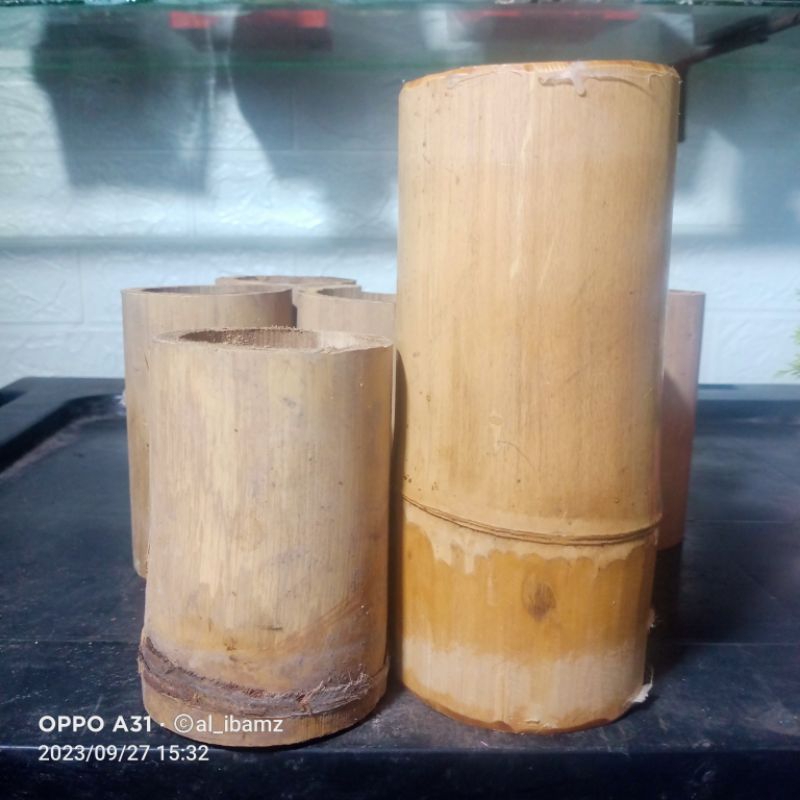 Jual POTONGAN BAMBU ASLI. | Shopee Indonesia