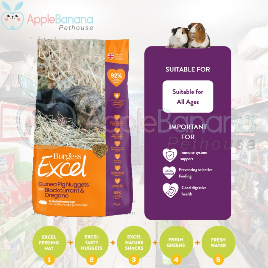 Jual Burgess Excel Guinea Pig Blackcurrant & Oregano 1,5 kg - Makanan ...