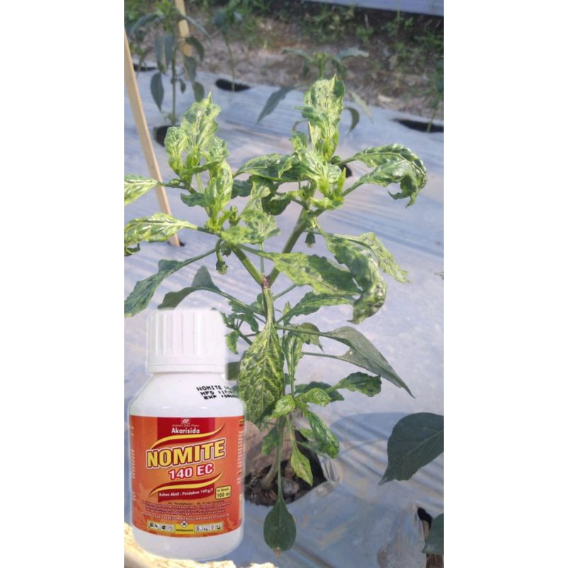 Jual nomite 140ec 250ml | Shopee Indonesia