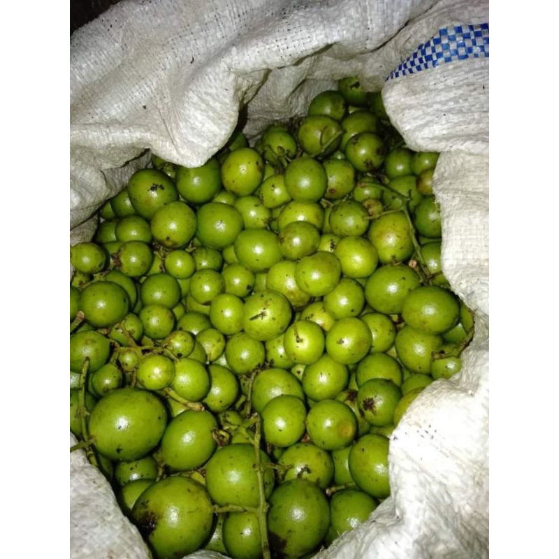 Jual Buah Gandaria atau jatake 100gr | Shopee Indonesia