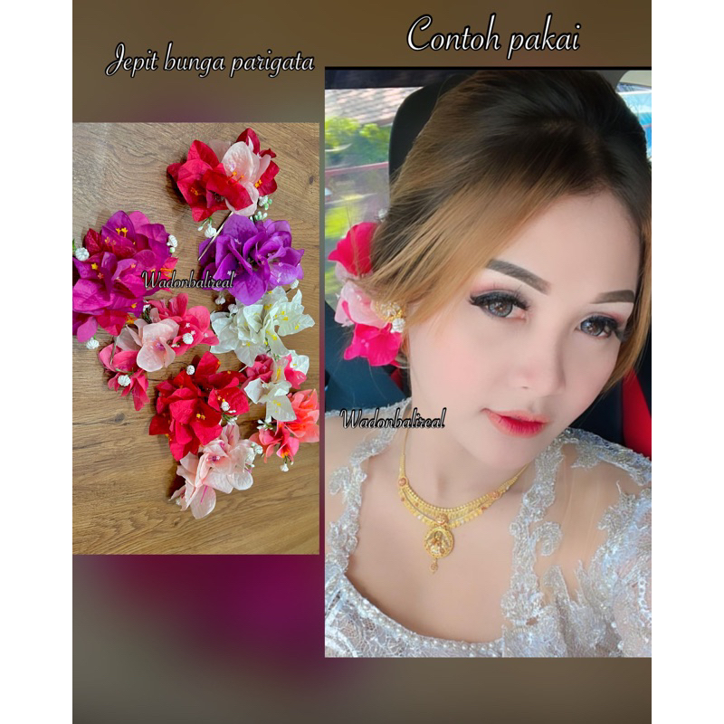 Jual semanggi parigata /semanggi kembang kertas /bunga kembang kertas ...