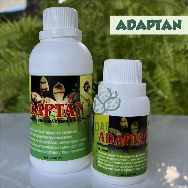 Jual Adaptan Pupuk Cair B-1 Khusus Tanaman Anggrek Kecil Remaja ...