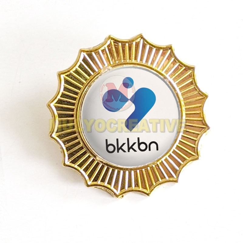 Jual Pin BKKBN Pin Bros Wing Logo BKKBN | Shopee Indonesia