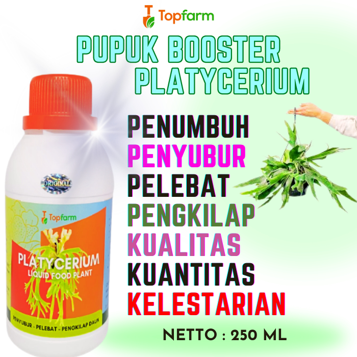 Jual Pupuk Platycerium / Pupuk Platycerium Cair / Pupuk Tanduk Rusa ... Jual Pupuk Platycerium / Pupuk Platycerium Cair / Pupuk Tanduk Rusa ...