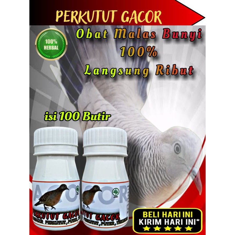 Jual JAMU PERKUTUT GACOR ISI 100 BUTIR pil apbn prebiotik jos jpj ...
