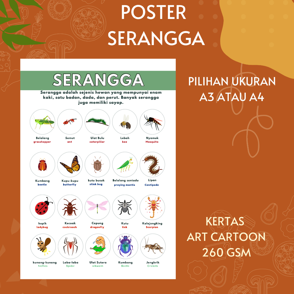 Jual POSTER EDUKASI ANAK desain unik | Shopee Indonesia