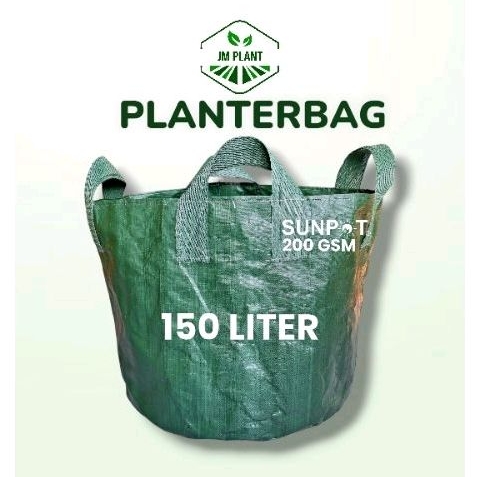 Jual Planter bag 150 Liter Hijau KOTAK, SILINDER TEBAL/POT TANAMAN 150 LITER | Shopee Indonesia