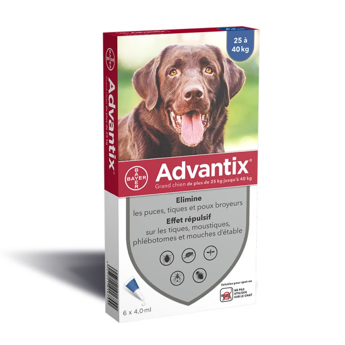 Jual Advantix Obat Tetes Kutu Anjing 1 TUBE (Bb 10 kg - 25 kg) | Shopee ...