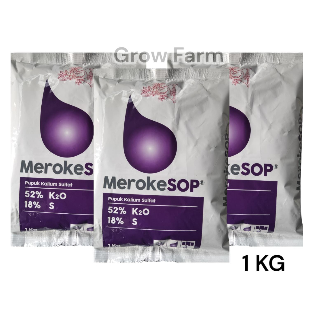 Jual Pupuk Meroke SOP 1Kg Kemasan Pabrik Hidroponik Pupuk Untuk Tanaman ...