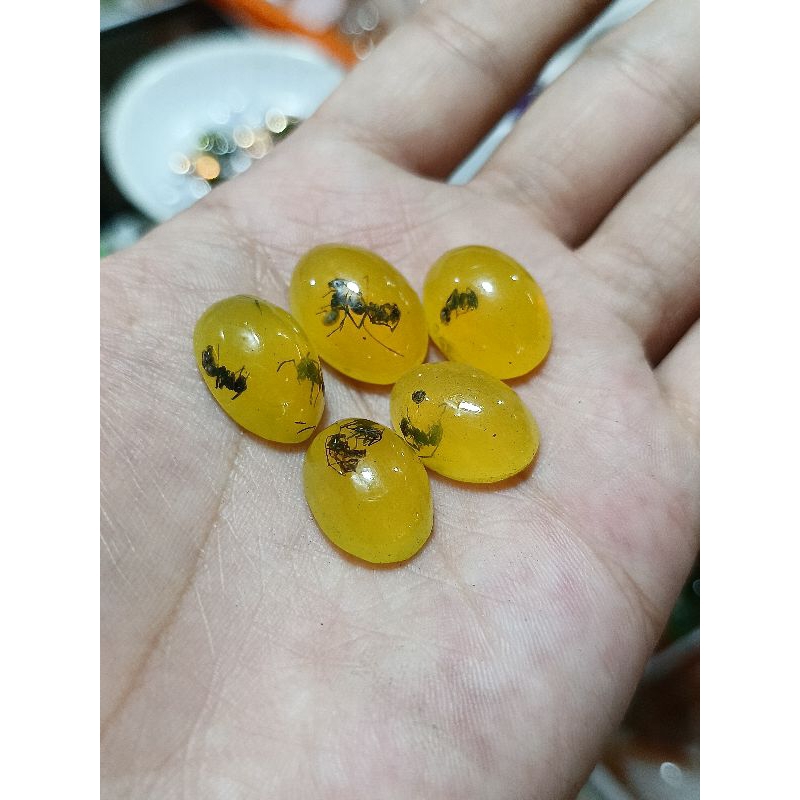 Jual Batu cincin getah katilayu semut warna kuning | Shopee Indonesia