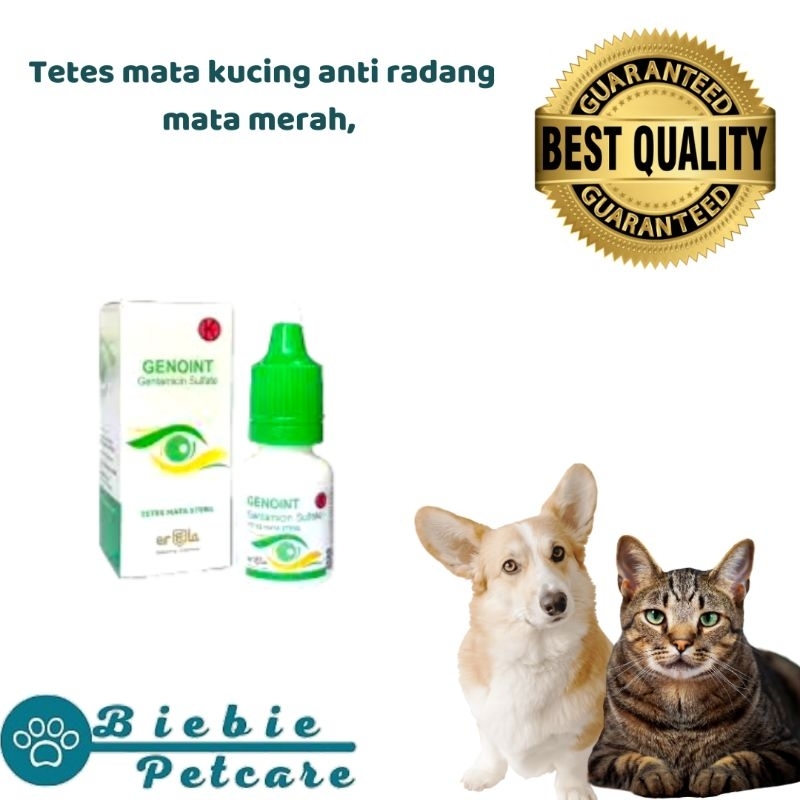Jual Genoint Tetes mata kucing, anti radang mata | Shopee Indonesia