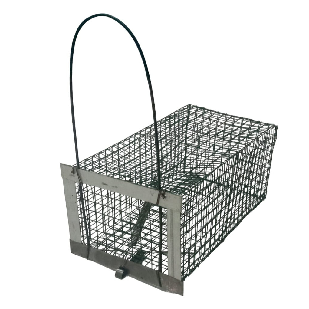 Jual PERANGKAP TIKUS / JEBAKAN TIKUS / PERANGKAP SENTEG MUSANG | Shopee ...