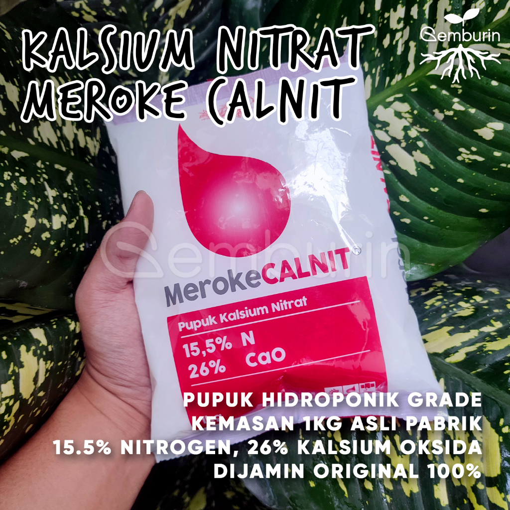 Jual Pupuk Meroke Calnit 1 kg / Kalsium Nitrat Kemasan Pabrik ...