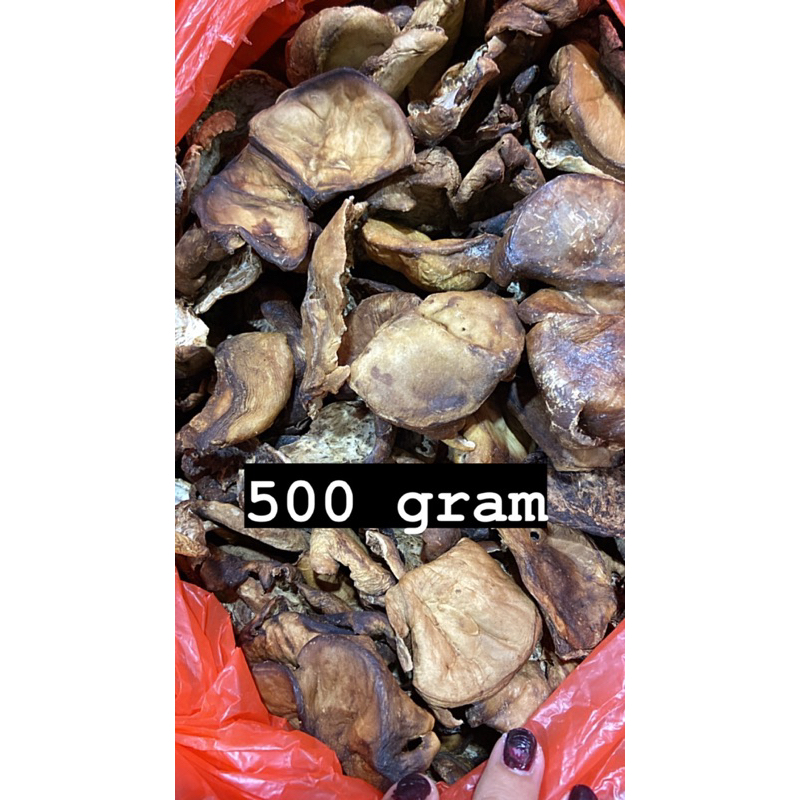 Jual KALOKO / SAYUR KERING KHAS TORAJA /SAYUR DAGING PANGI 500 gram ...