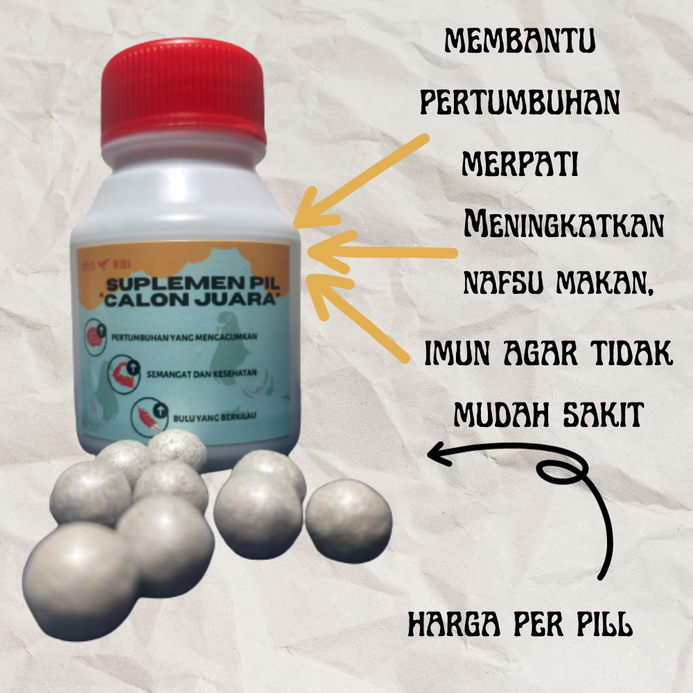 Jual PIL SUPLEMEN MERPATI (isi 50 pil) - CALON JUARA - SPEED WING ...