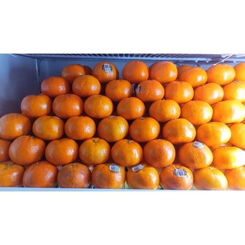 Jual jeruk Mandarin super duper manis | Shopee Indonesia